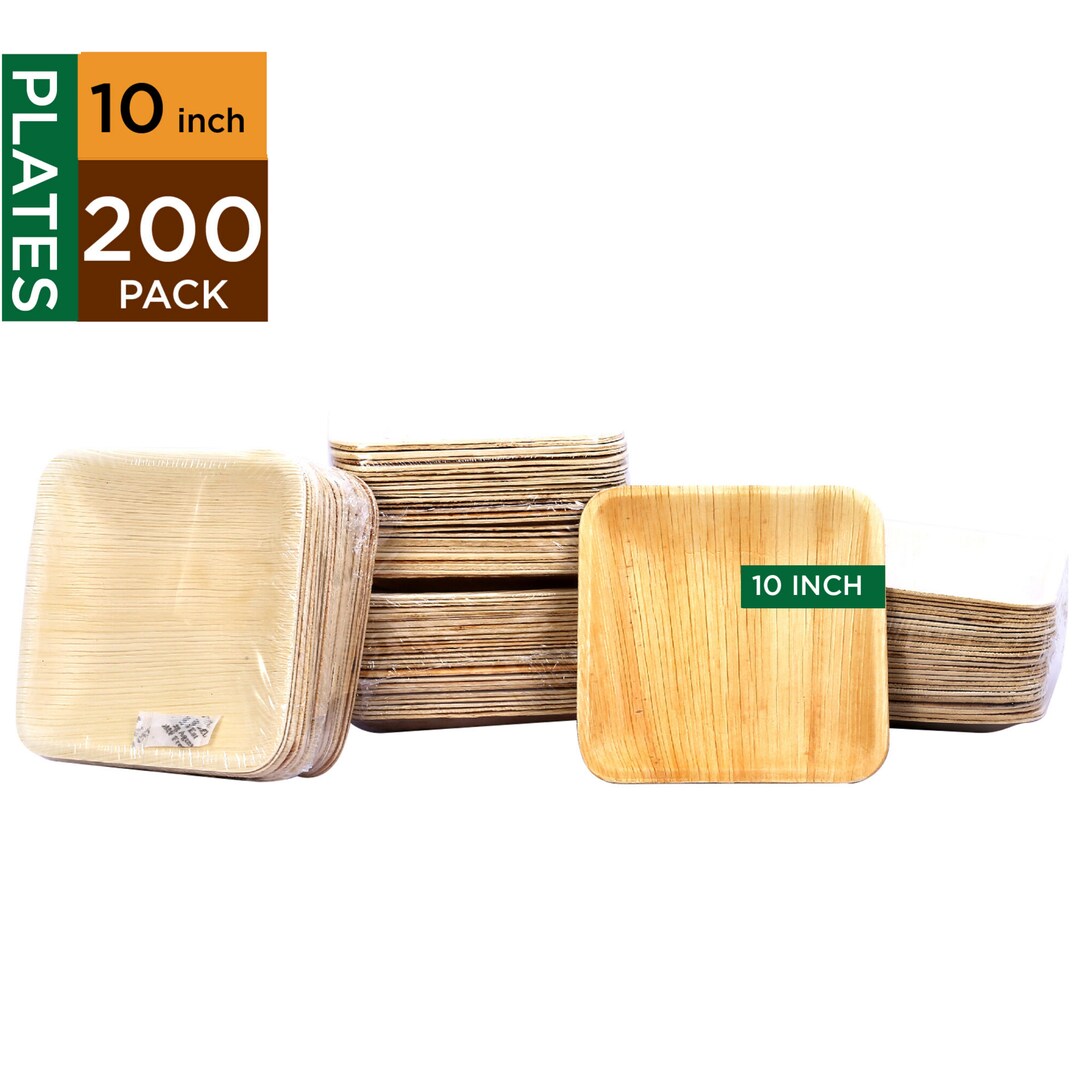 Disposable Palm Leaf Square Plate Natural Sustainable 200 Pice 10 ...
