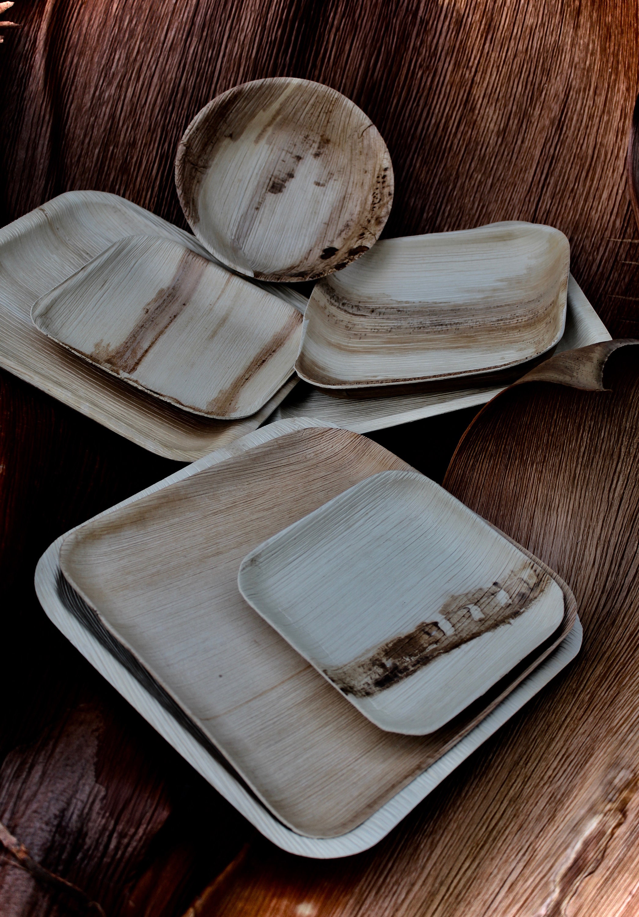 Disposable Plates 25 Pices 9.5" and 75 Set Cutlery Wooden Brich ...