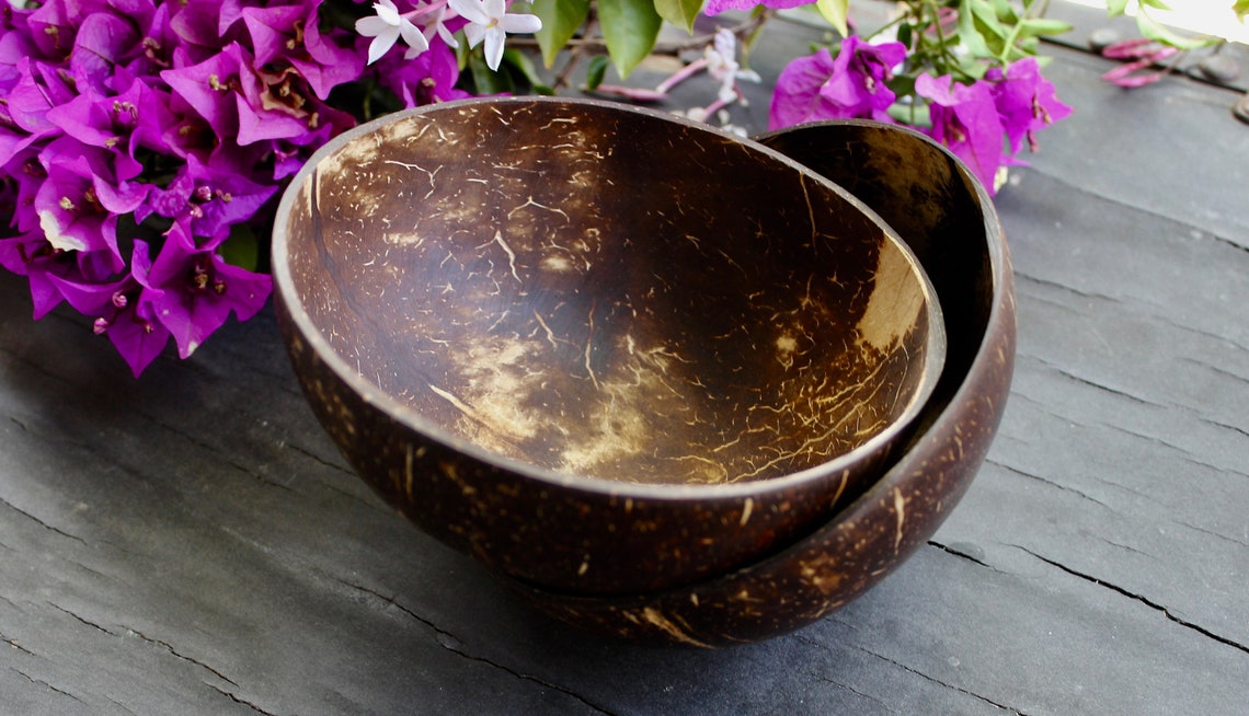 Jumbo Coconut Shell Rain Forest 2pic 3 Pic 4 Pic 5 Pic - Etsy