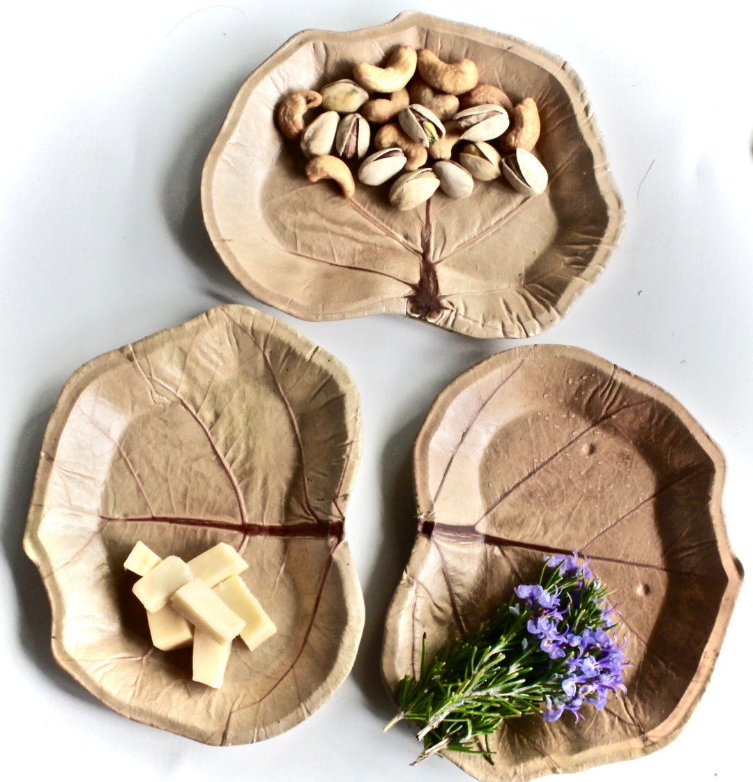 Disposable Leaf Plates 25 Pieces Sea Grape Real Leaf 7" for Desert and ...