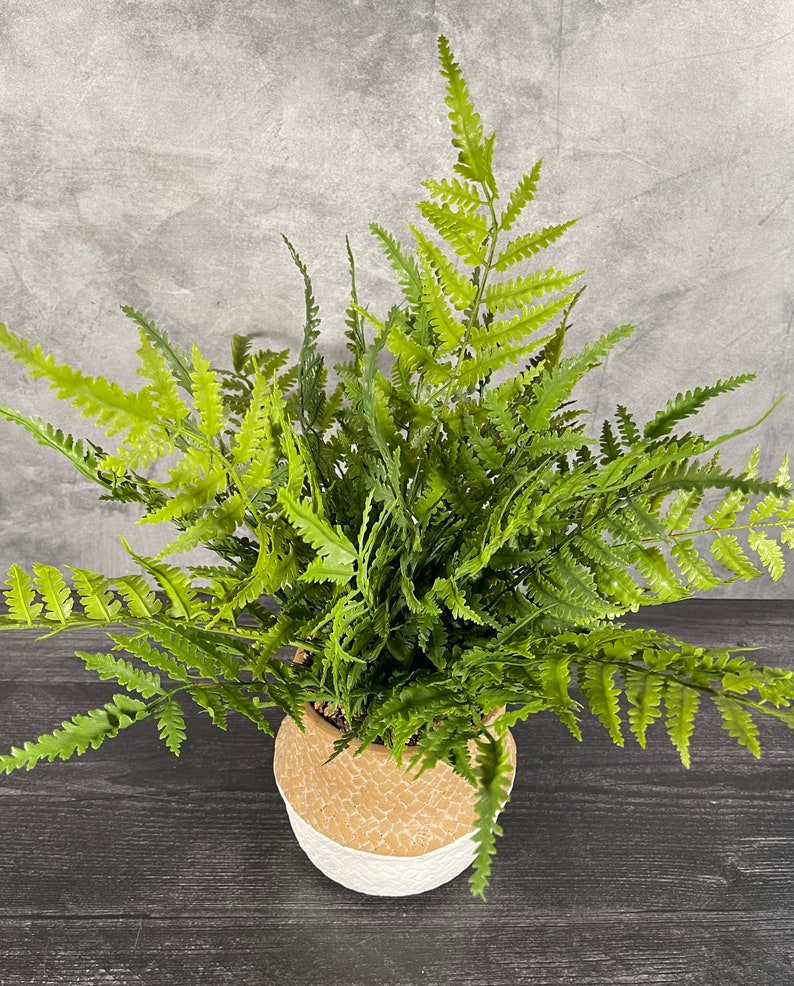 Real Touch Faux Fern Houseplant Boho Plant Decor Faux Greenery Spa Bath ...