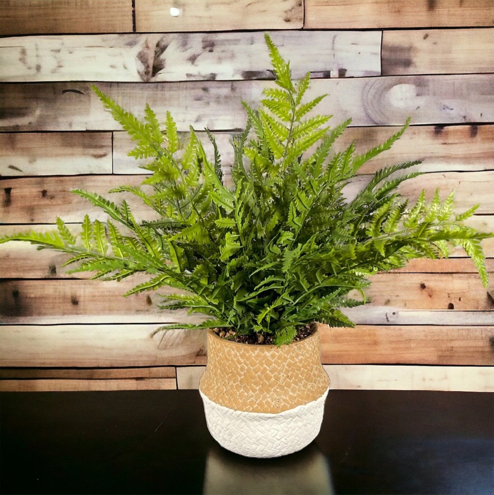 Real Touch Faux Fern Houseplant Boho Plant Decor Faux Greenery Spa Bath ...