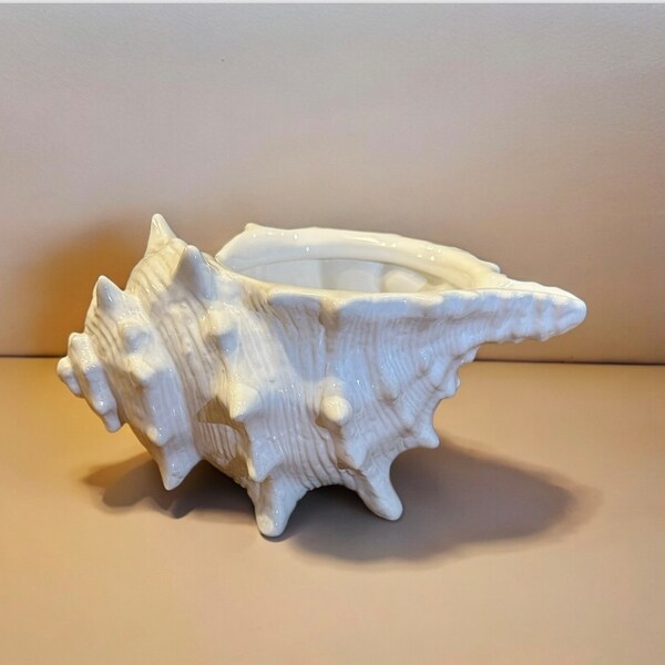 Clam Shell Planter - Etsy