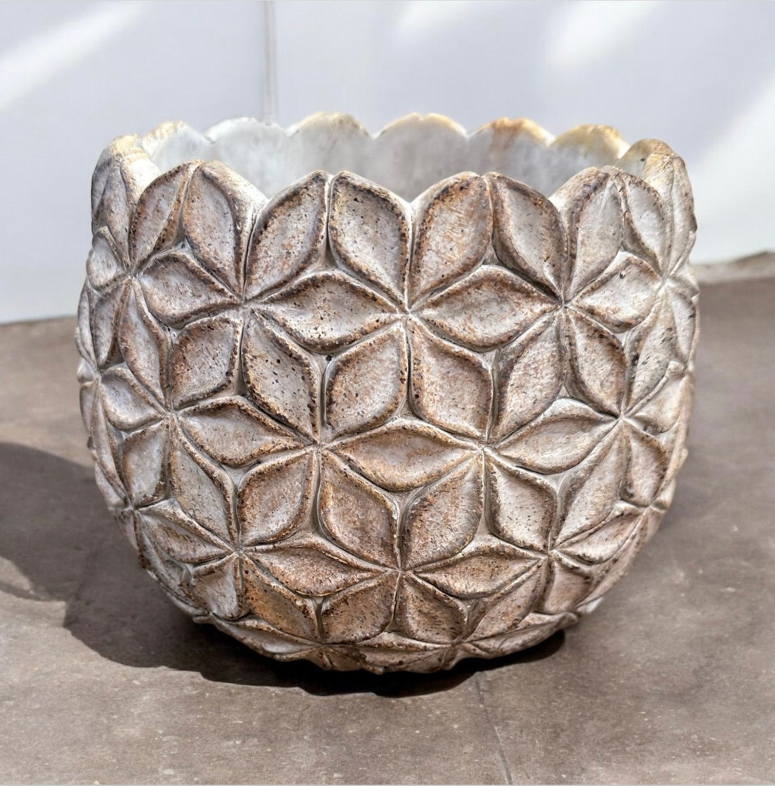 Embossed Flower Pot: Concrete Style Pottery Planter, Modern Decor Mid ...