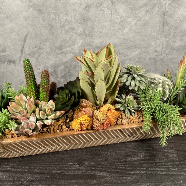 Cactus Arrangement - Etsy
