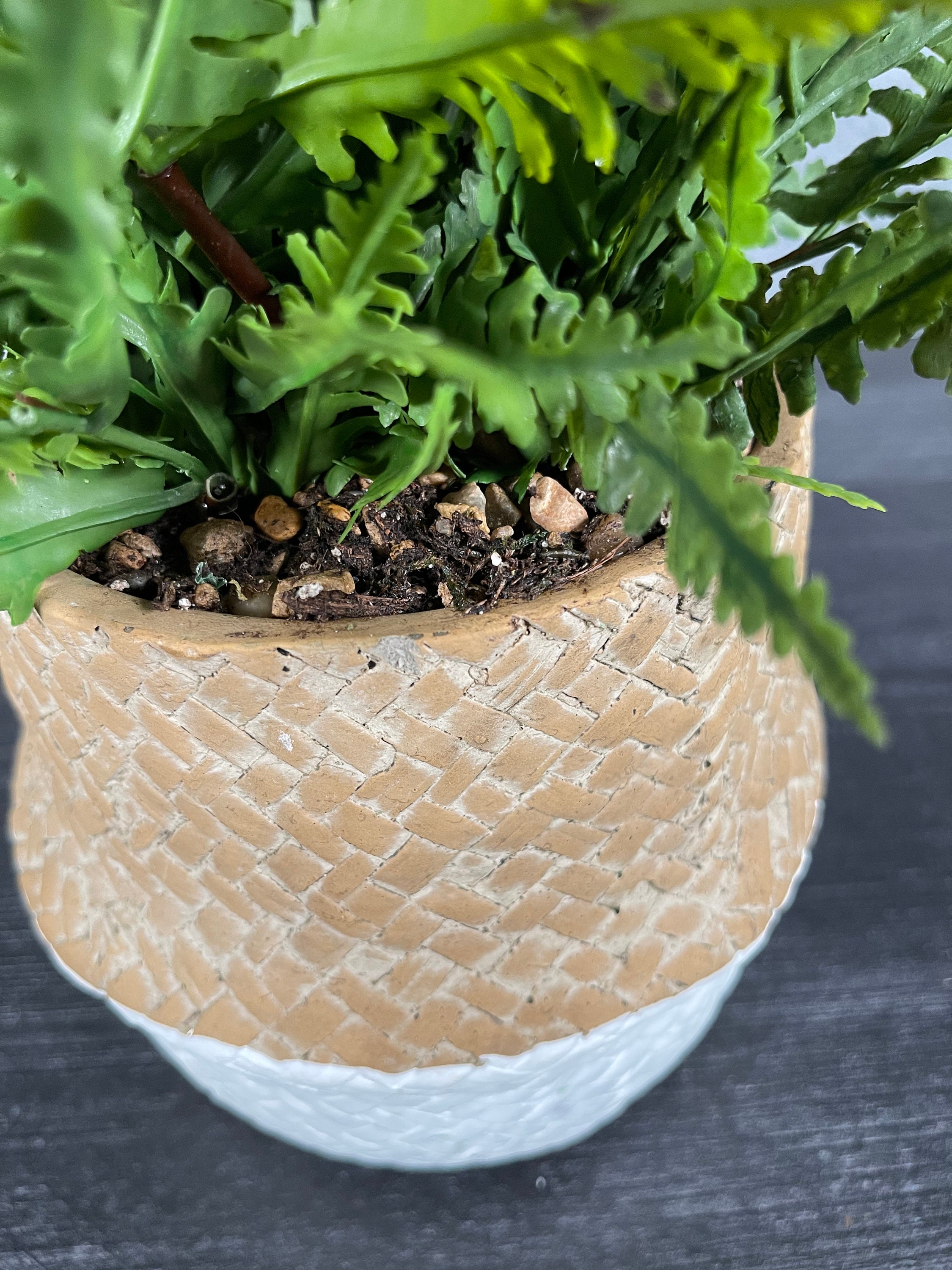 Real Touch Faux Fern Houseplant Boho Plant Decor Faux Greenery Spa Bath ...