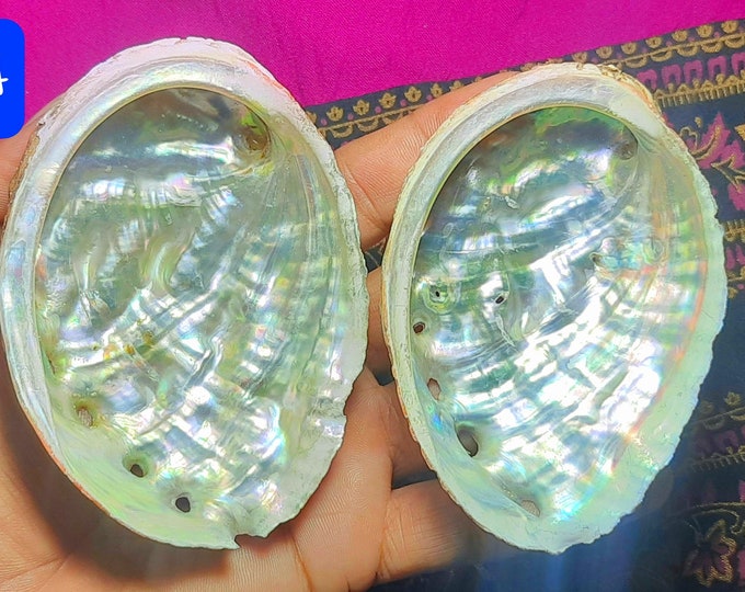 White Mother of Pearl Rough Gemstone,mother of Pearl Specimens,mother ...