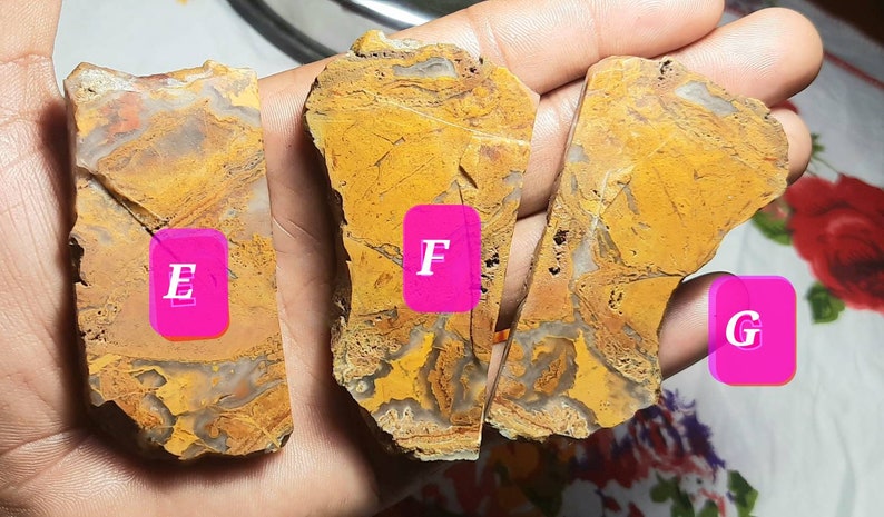 Wooden Jasper Unpolished Rough Gemstone,wooden Jasper Crystal,wooden ...