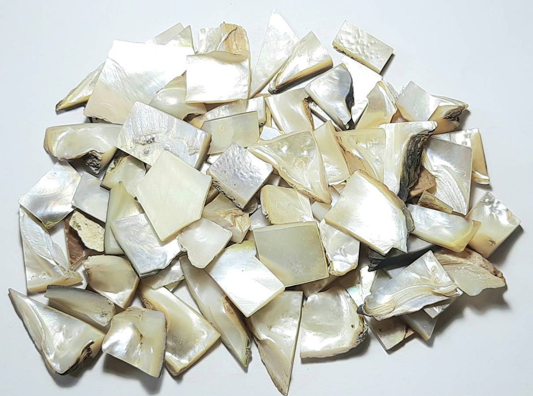 Natural White Mother of Pearl Rough Gemstone: Raw Pearl Slices Slab ...