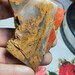 Wooden Jasper Unpolished Rough Gemstone,wooden Jasper Crystal,wooden ...