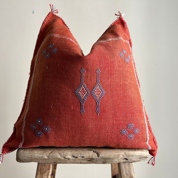 Cactus Silk Pillow - Etsy