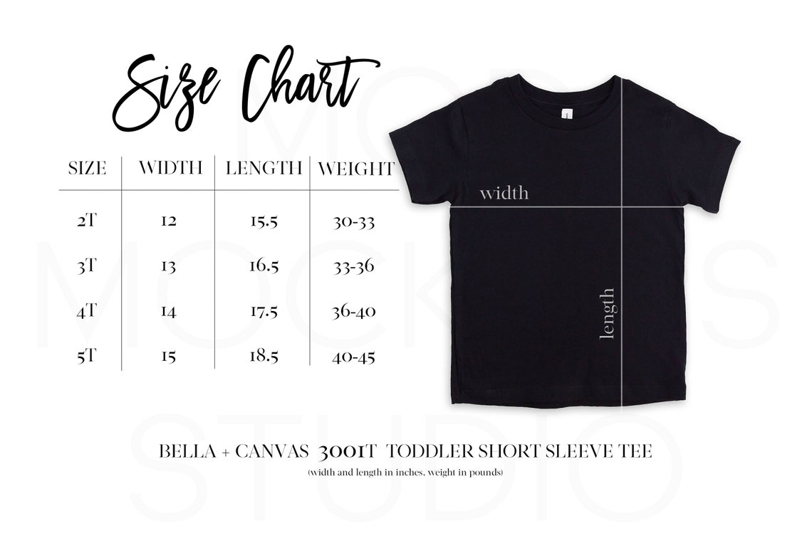 3001T Size Chart Bella Canvas 3001T Mockup Size Chart Size - Etsy