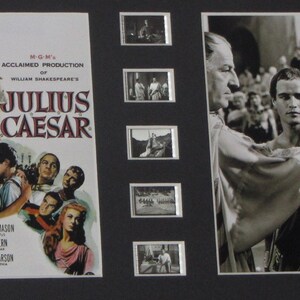JULIUS CAESAR Marlon Brando Greer Garson Film Cell Mount Rare Screen ...