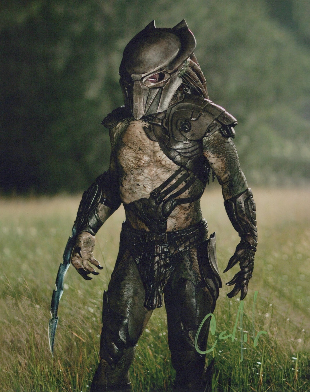 CAREY JONES Signed Predators Tracking Predator Authentic Signed 10 X 8 ...