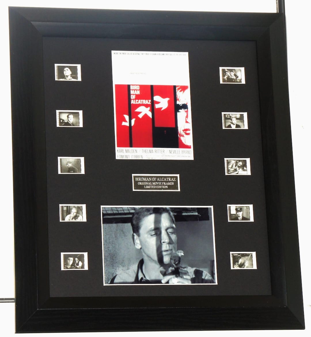 The BIRDMAN OF ALCATRAZ Burt Lancaster Film Cell Mount Old Rare Screen ...