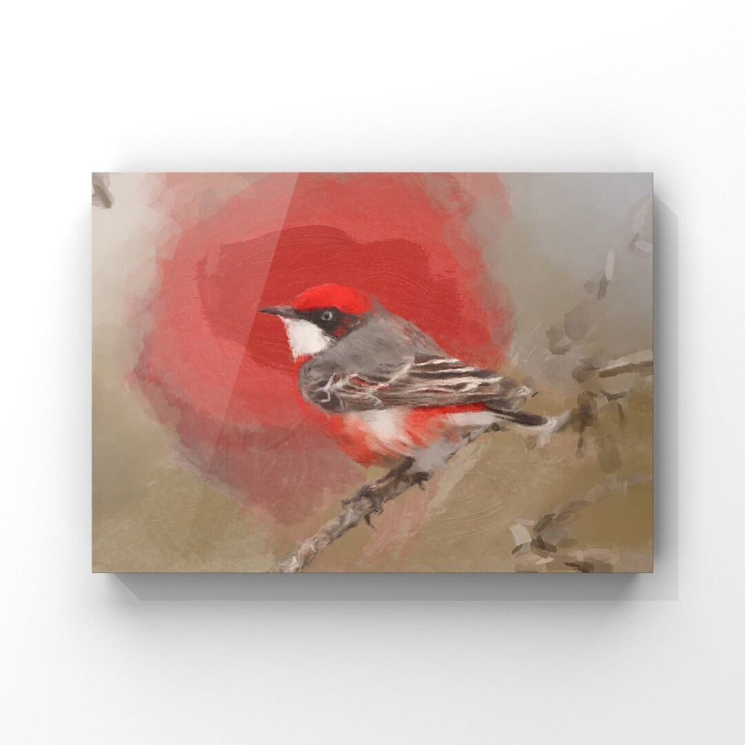 Vermilion Red Capped Robin II - Etsy