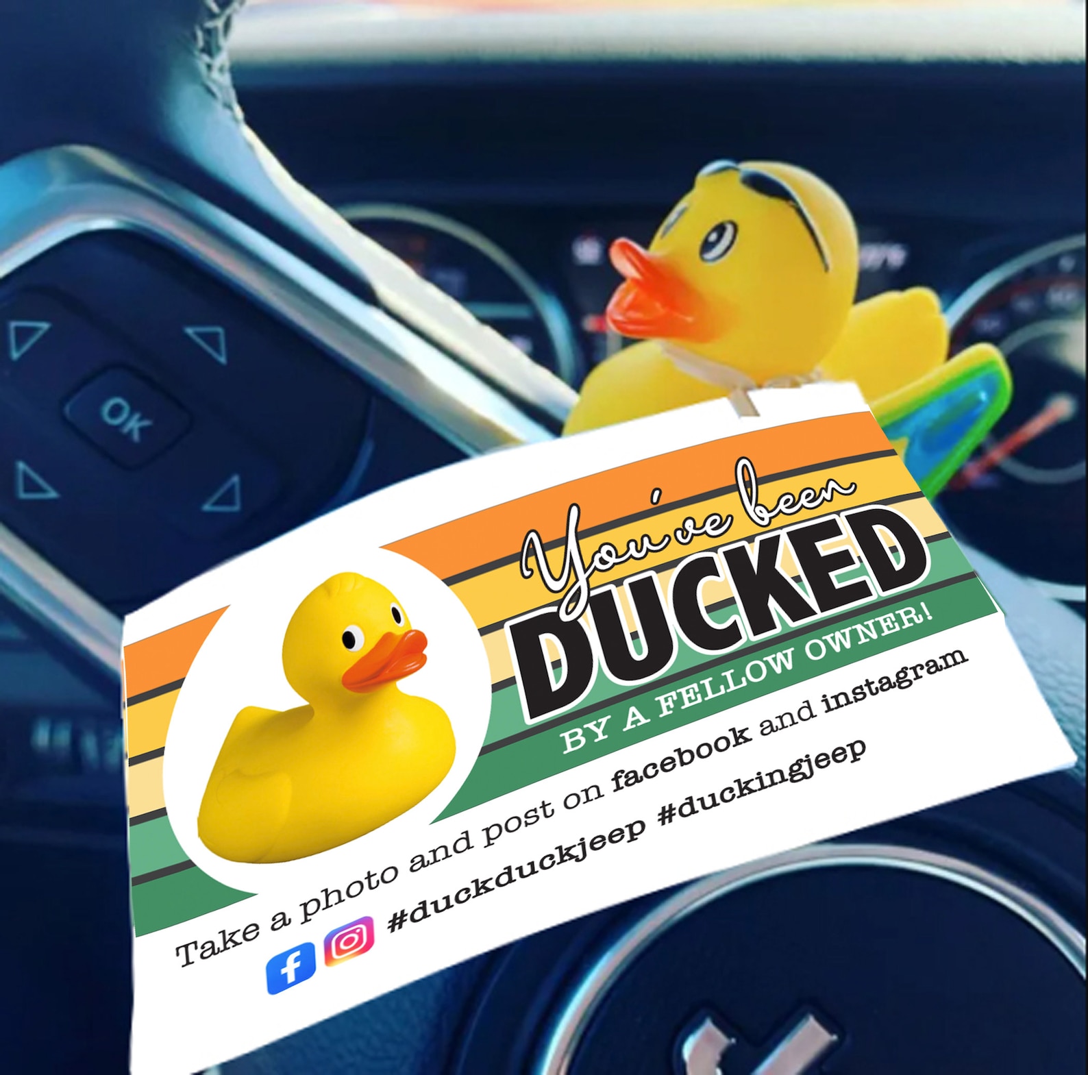 You’ve Been Ducked Tags - Instant Printable PDF - Duck Duck Tags - 4x4 ...