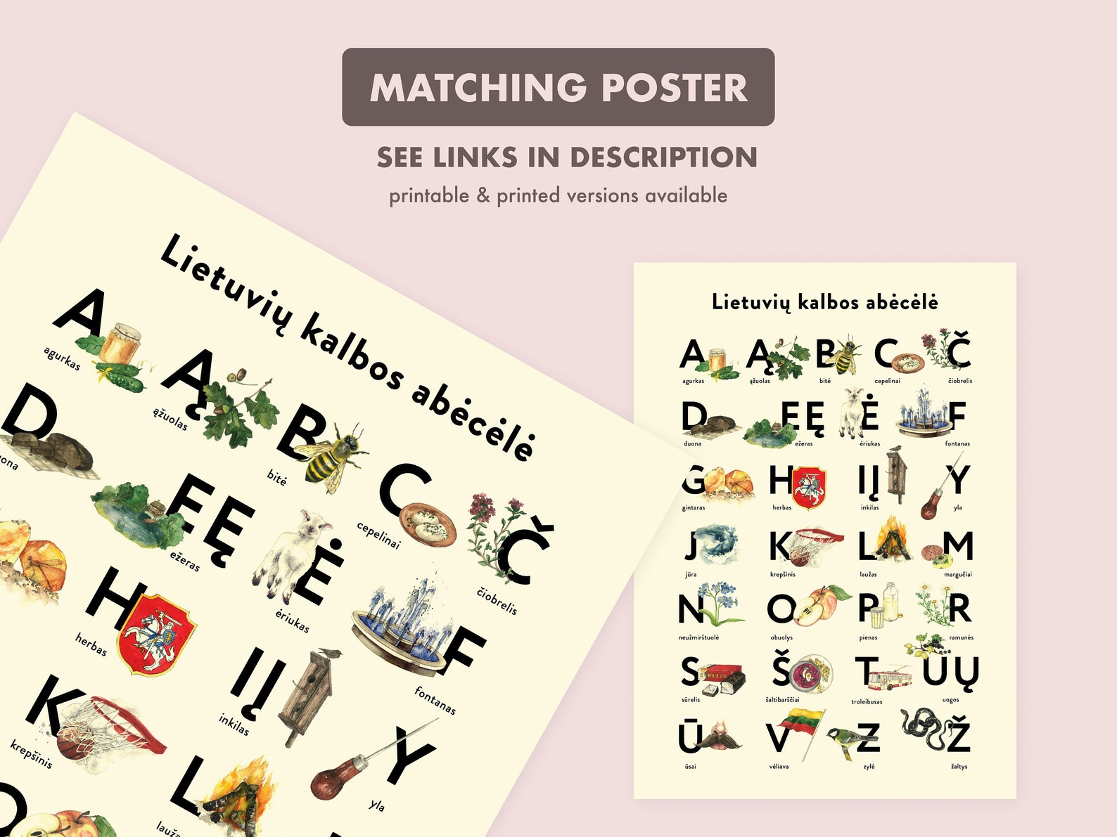 Printable Lithuanian Language Learning Cards Digital Download ...