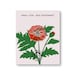 Poppy Enamel Pin Red Poppy Lapel Pin Nature Pin Poppy Flower Flower ...