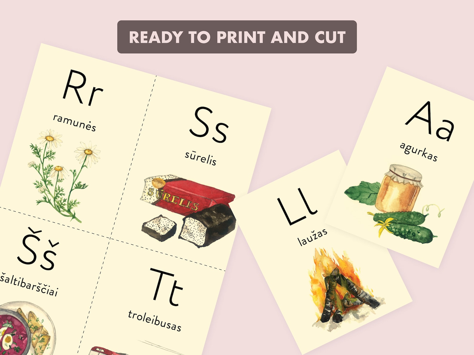 Printable Lithuanian Language Learning Cards Digital Download ...