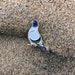 Pigeon Pin Bird Lapel Pin Enamel Pin Bird Lovers Pin - Etsy