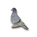 Pigeon Pin Bird Lapel Pin Enamel Pin Bird Lovers Pin - Etsy