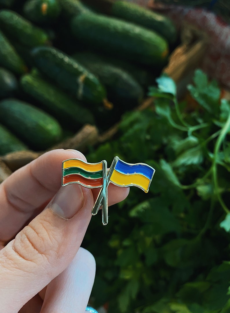 Ukrainian Lithuanian Flags Support Ukraine Lapel Pin Slava - Etsy