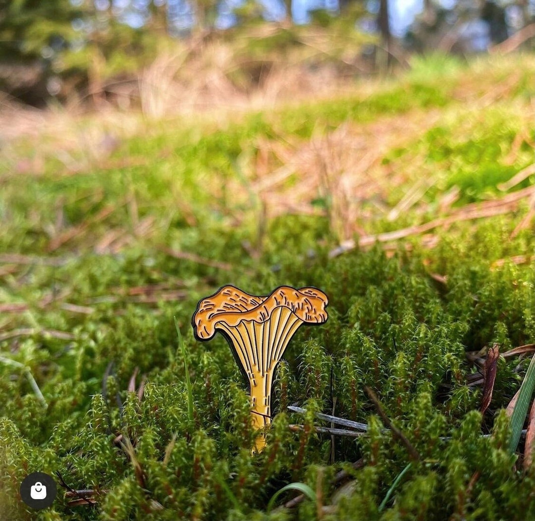 Chanterelle Enamel Pin Mushroom Lapel Pin Nature Pin Badge Mushroom Pin ...