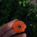 Poppy Enamel Pin Red Poppy Lapel Pin Nature Pin Poppy Flower Flower ...
