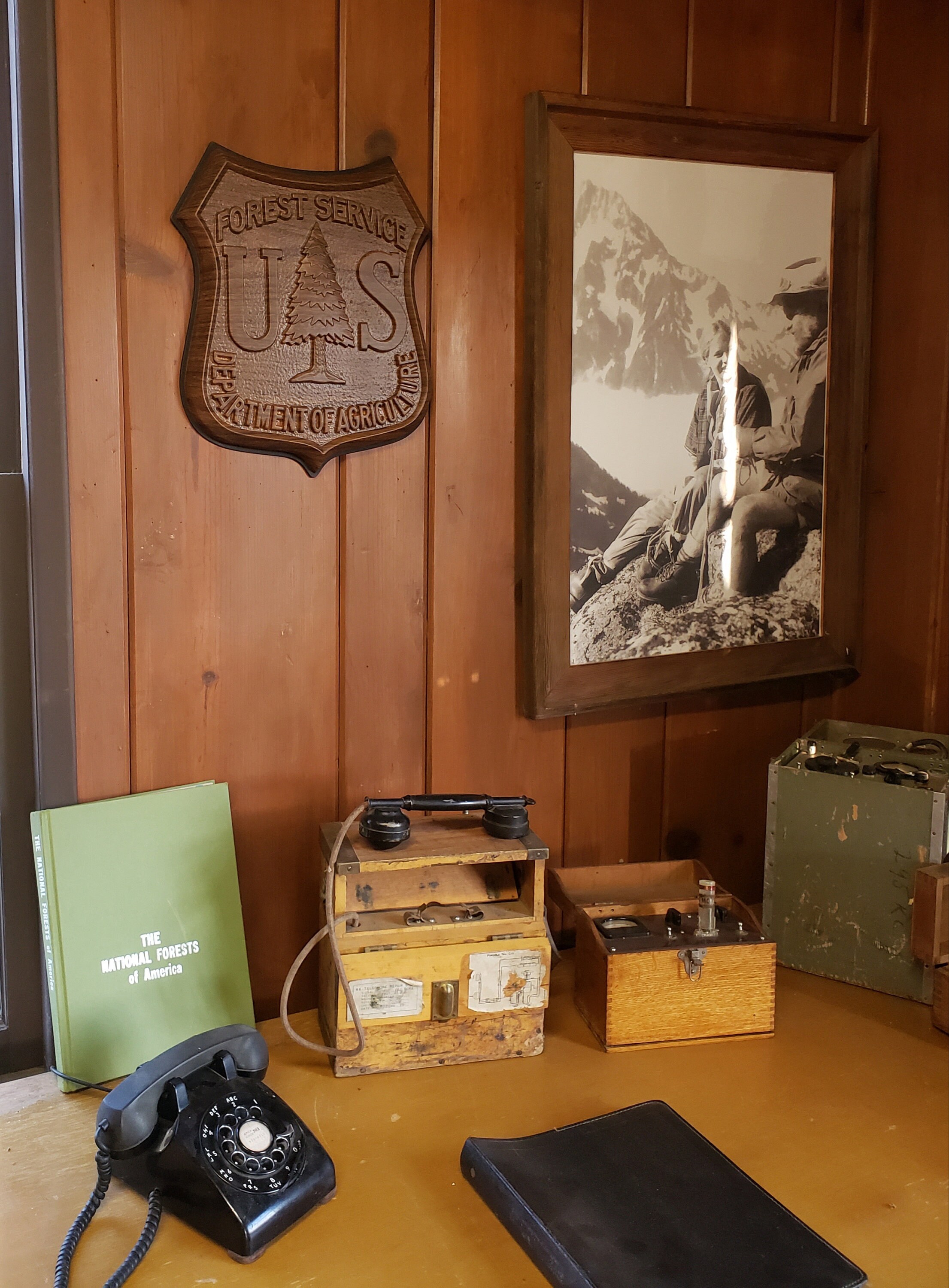 Forest Service Shield Display Sign - Etsy