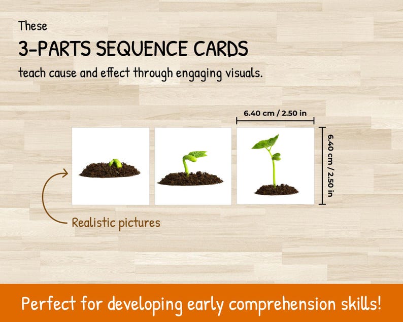 12 Montessori Educational Sequencing Cards Activity Sequence Flashcards ...