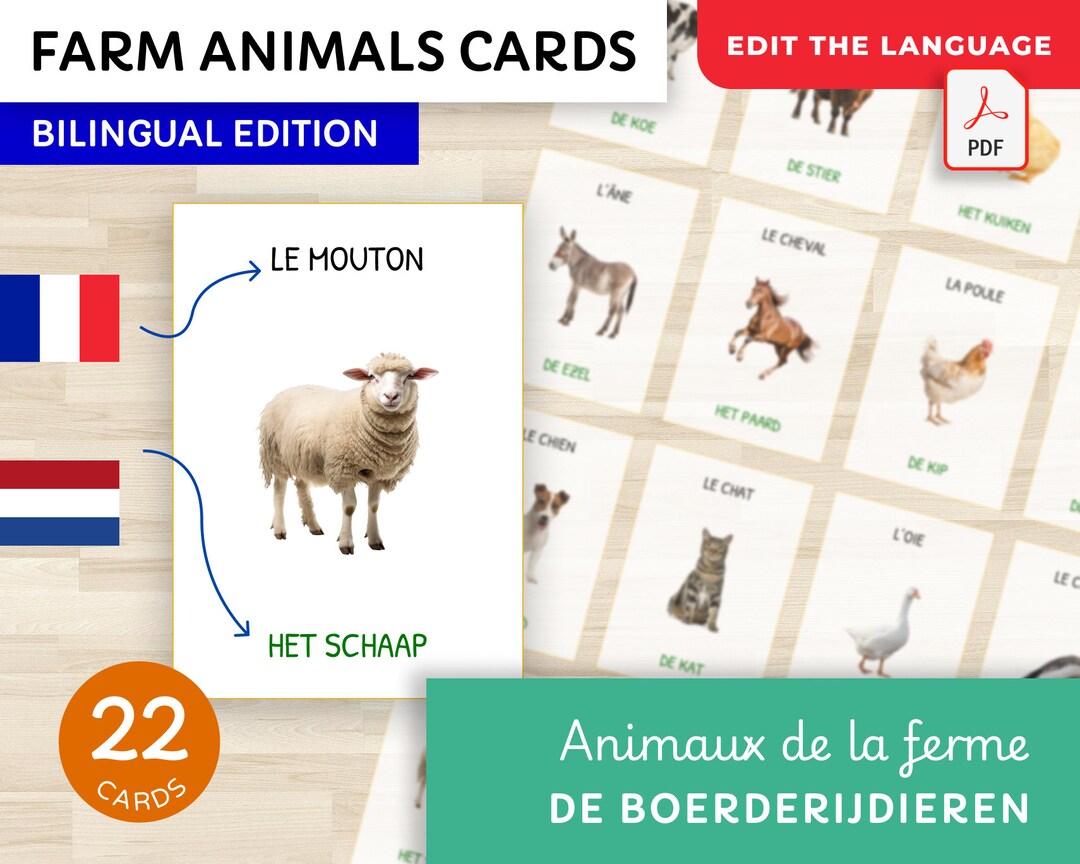 22 Montessori EDITABLE Flash Cards in French Dutch Montessori Cards ...