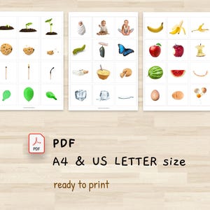 12 Montessori Educational Sequencing Cards Activity Sequence Flashcards ...