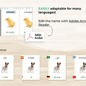 22 Montessori EDITABLE Flash Cards in French + Dutch | Montessori Cards ...