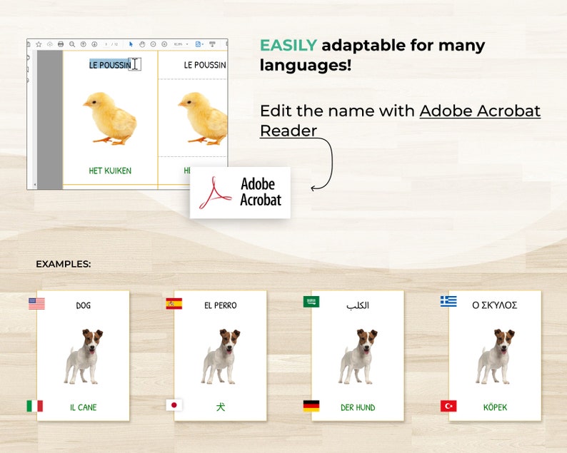 22 Montessori EDITABLE Flash Cards in French + Dutch | Montessori Cards ...