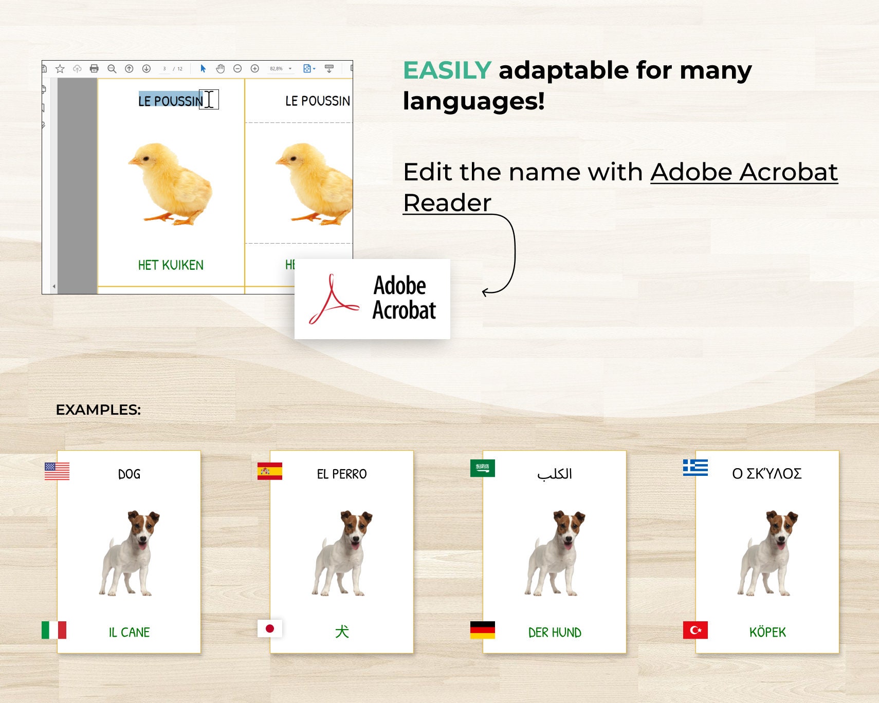 22 Montessori EDITABLE Flash Cards in French + Dutch | Montessori Cards ...