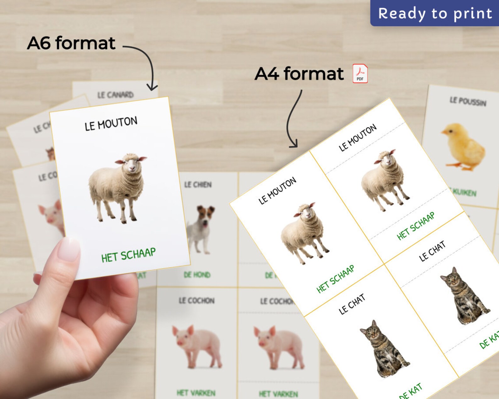 22 Montessori EDITABLE Flash Cards in French + Dutch | Montessori Cards ...