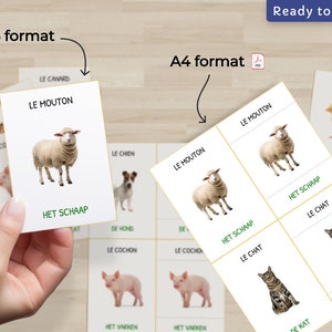 22 Montessori EDITABLE Flash Cards in French + Dutch | Montessori Cards ...