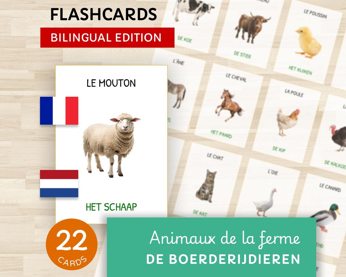 22 Montessori EDITABLE Flash Cards in French + Dutch | Montessori Cards ...