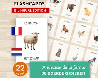 22 Montessori EDITABLE Flash Cards in French + Dutch | Montessori Cards ...