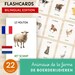 22 Montessori EDITABLE Flash Cards in French + Dutch | Montessori Cards ...