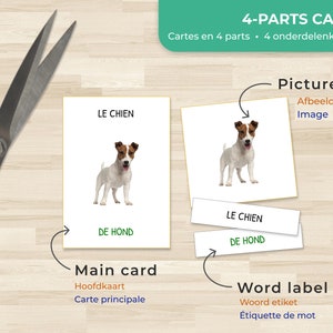 22 Montessori EDITABLE Flash Cards in French + Dutch | Montessori Cards ...