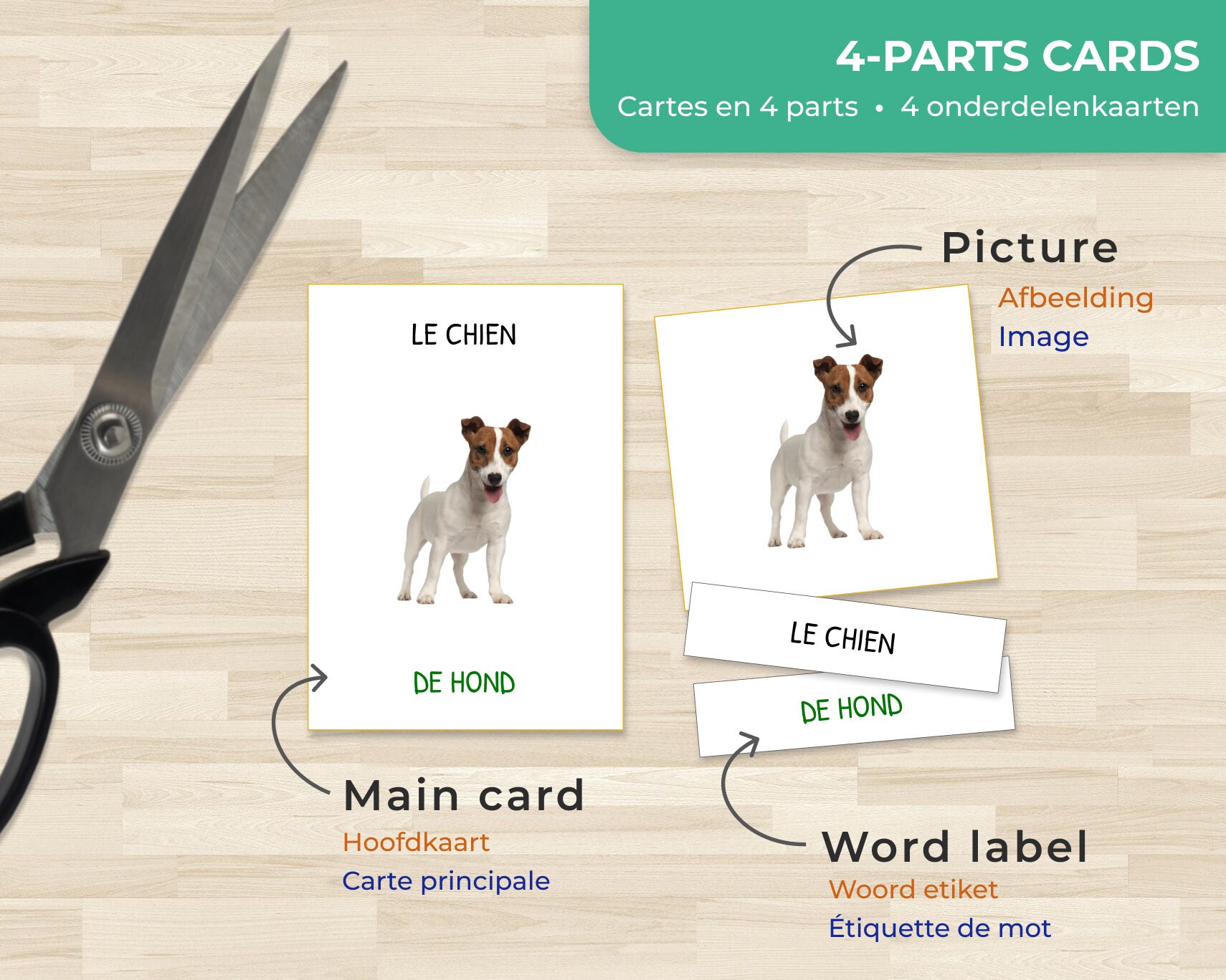 22 Montessori EDITABLE Flash Cards in French + Dutch | Montessori Cards ...