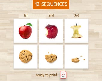 3-step Sequencing Exercise Daily Activities for Kids 12 Educational ...
