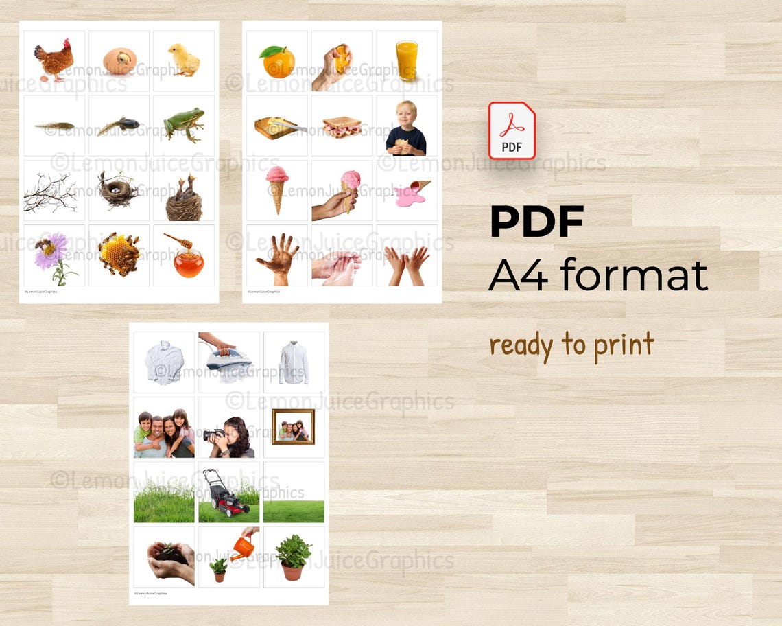 12 Montessori Educational Sequencing Cards Activity Sequence Flashcards ...