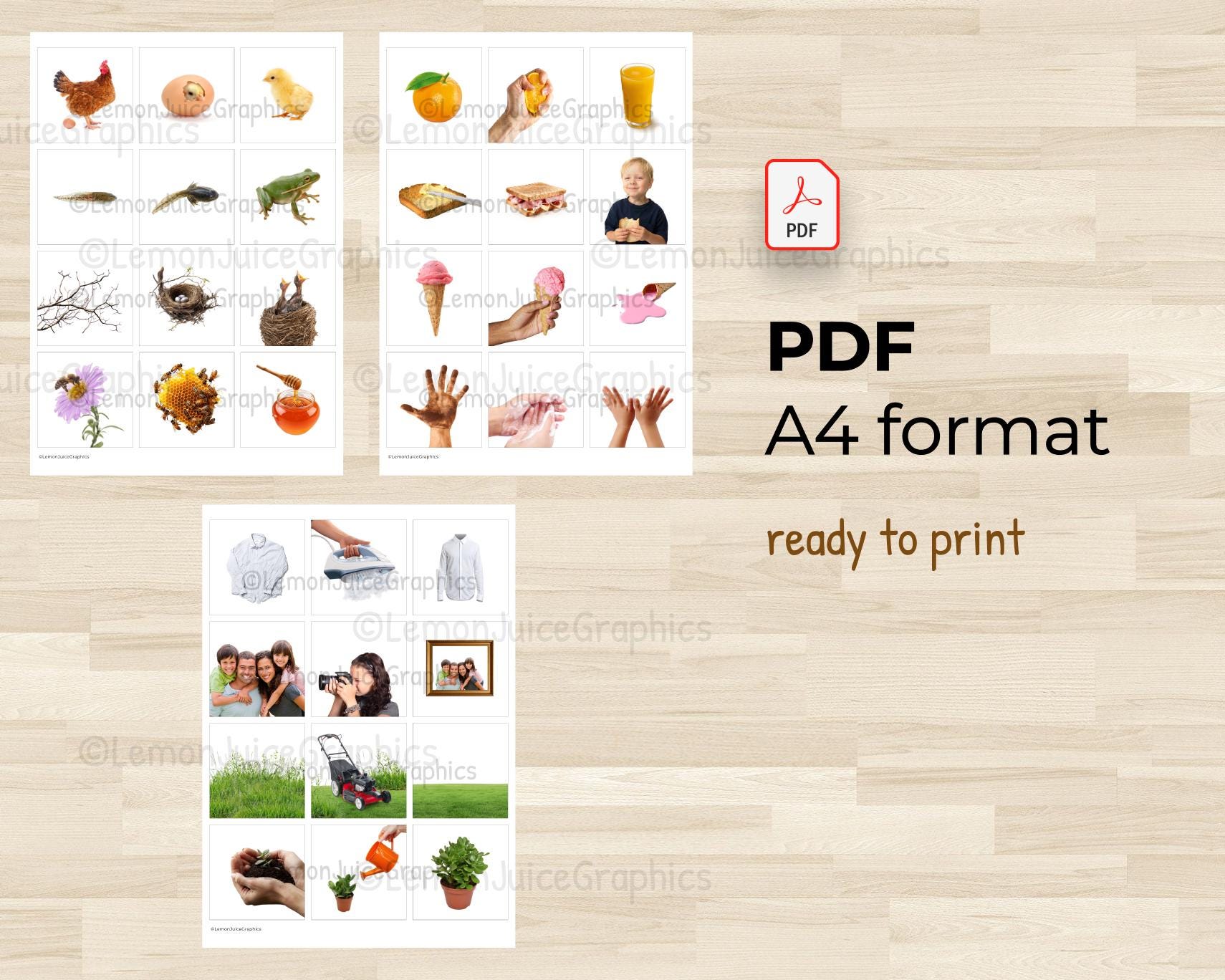 12 Montessori Educational Sequencing Cards Activity Sequence Flashcards ...