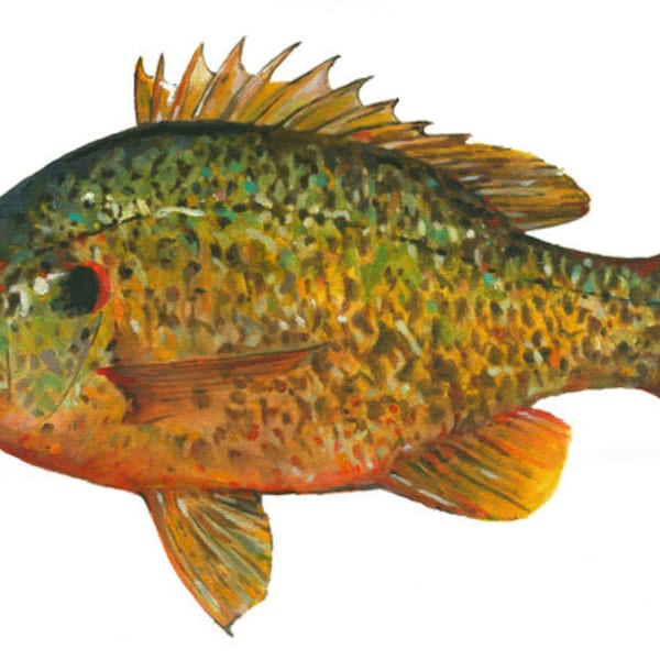 Fish Painting - Etsy