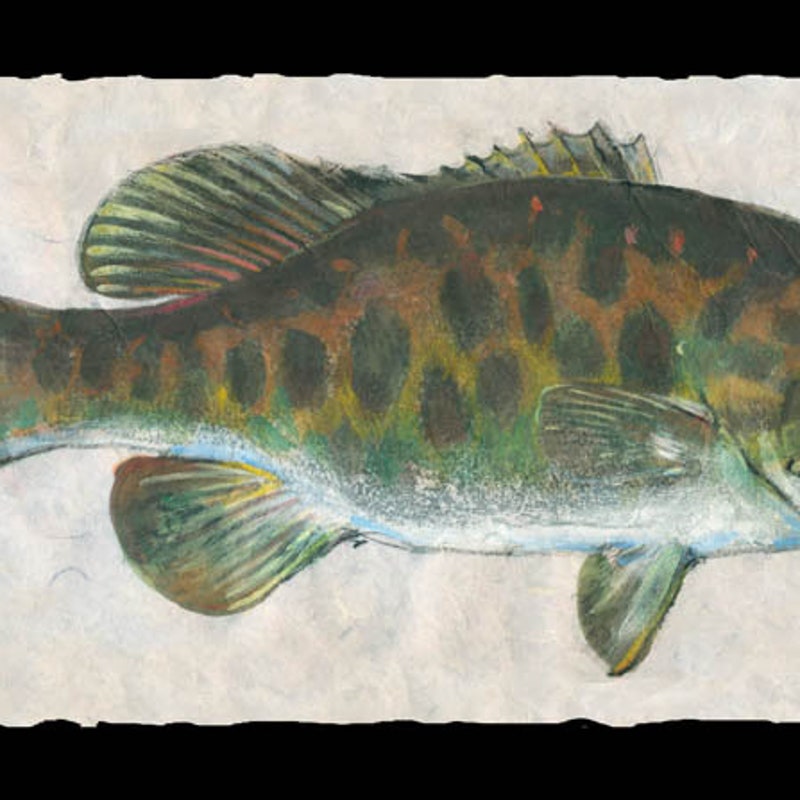 Gyotaku Fish Print - Etsy