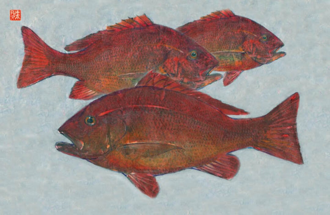 Red Snapper School 3 Gyotaku Prints Gyotaku of Red Snappers Paintings ...