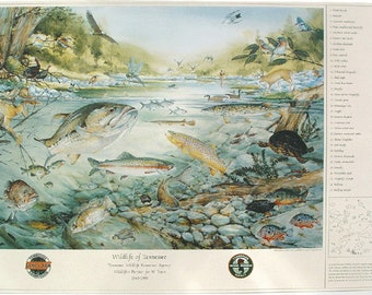 Game Fish Poster - Etsy